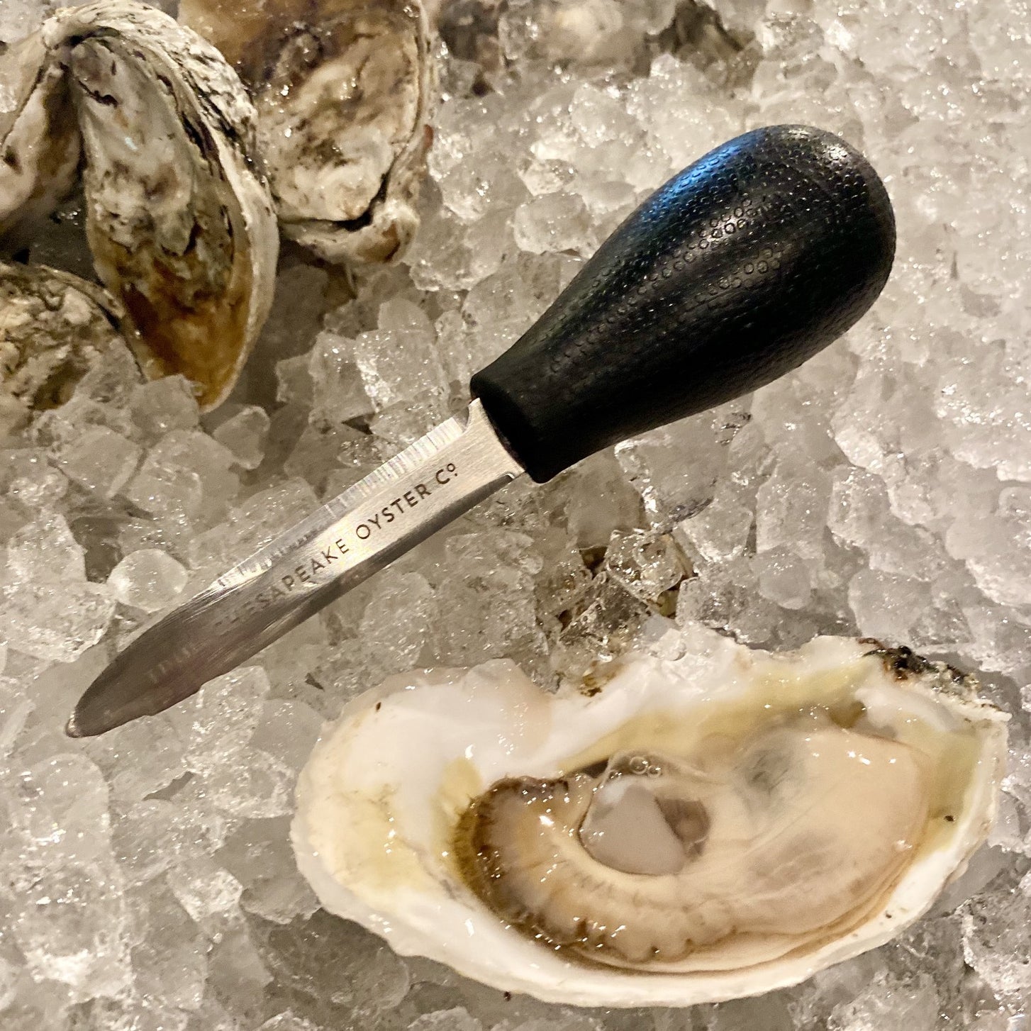 Oyster Knife | True Chesapeake Oyster Co - Tools | True Chesapeake ...